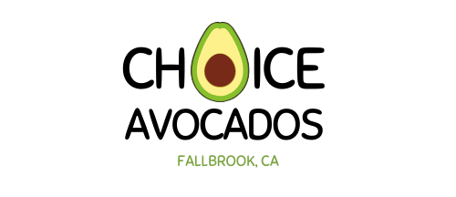 Choice Avocados